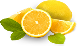 Contact | Multi Pac Ltd Website